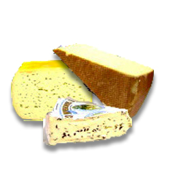 Gourmet Cheeses | Imported Cheeses | Specialty Cheeses